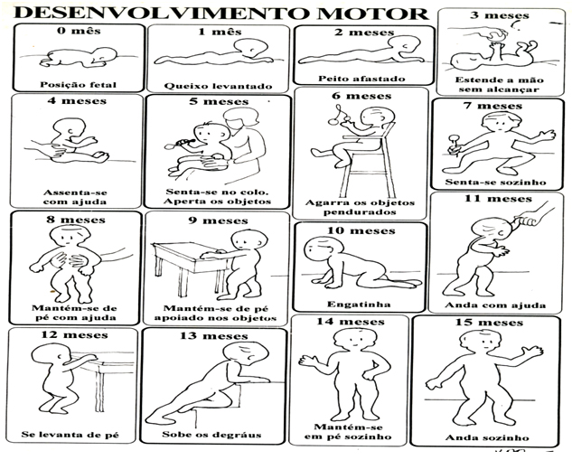 Lagarto Notícias